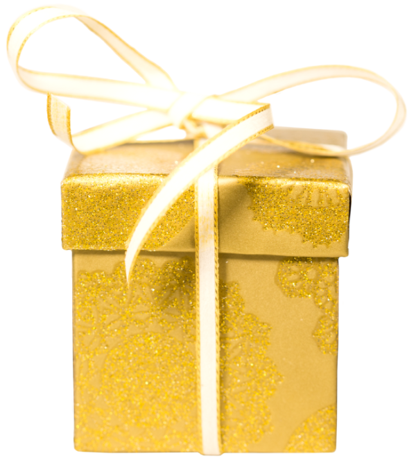 GUIDE | Holiday Gift Guide - My EHI Aloha